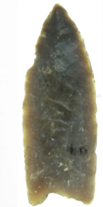 Our History | Tsuut'ina